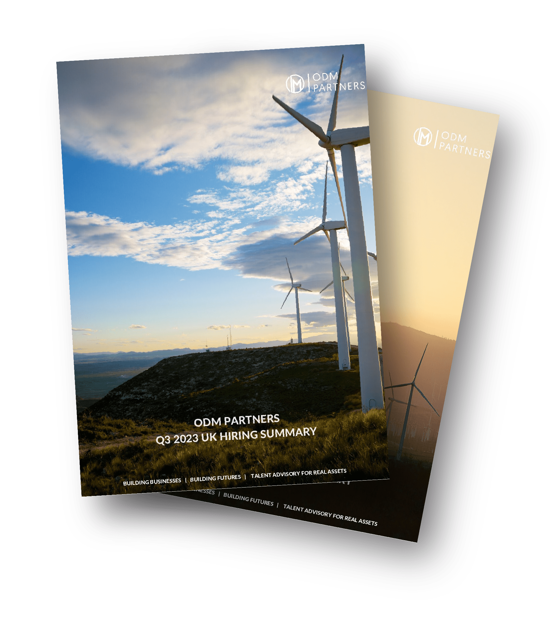 Infrastructure Executive Search | Renewable Energy | ODM Partners